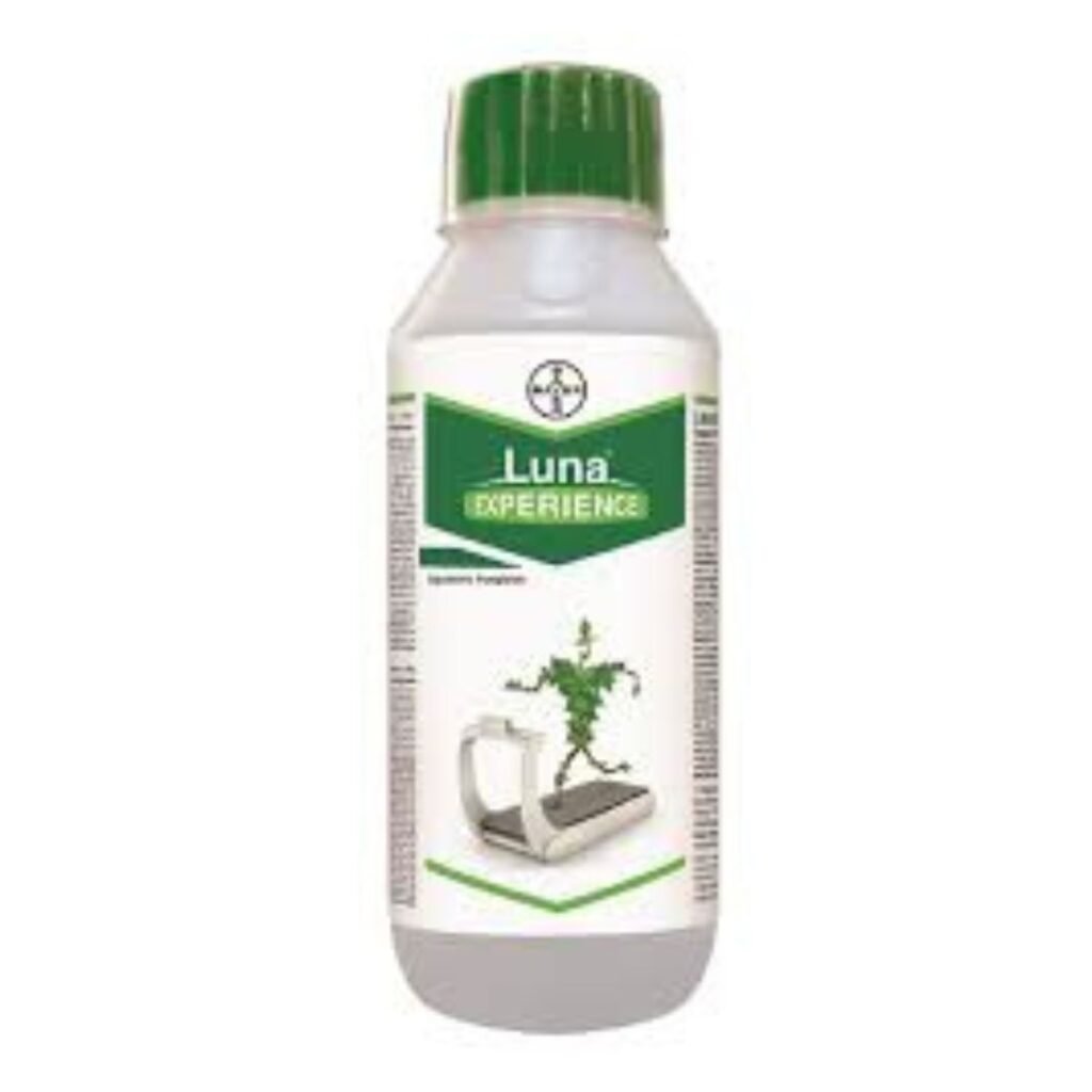 BAYER LUNA EXPERIENCE – Agripariwar